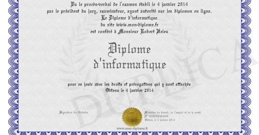 Diplome d informatique