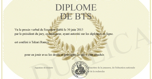Diplome de BTS