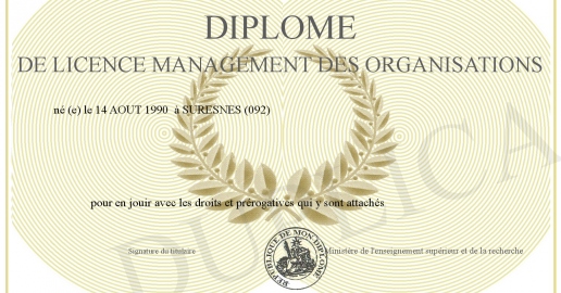 Diplome de licence Management Des Organisations