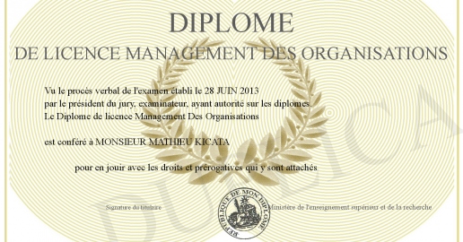 Diplome de licence Management Des Organisations