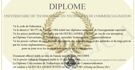 Diplome Universitaire de Technologie en Techniques de Commercialisation