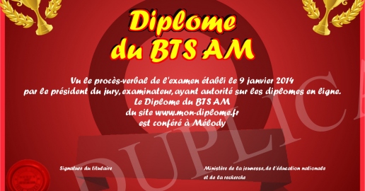 Diplome du BTS AM