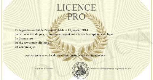 licence pro