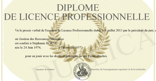 Diplome de Licence Professionnelle