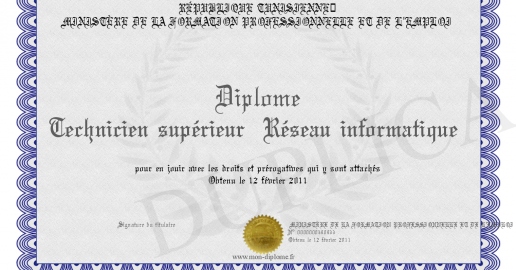 Diplome Technicien superieur Reseau informatique