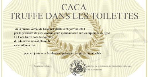 Caca truffe dans les toilettes