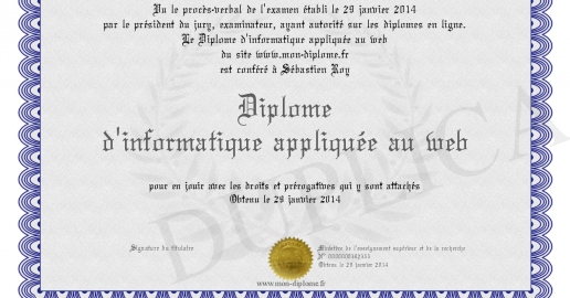 Diplome d informatique appliquee au web