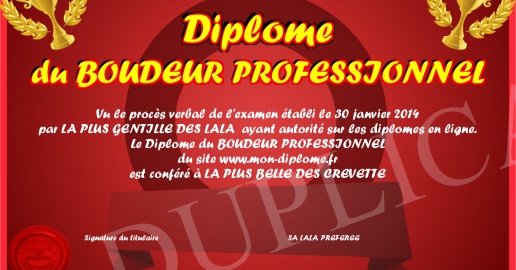 Diplome du BOUDEUR PROFESSIONNEL