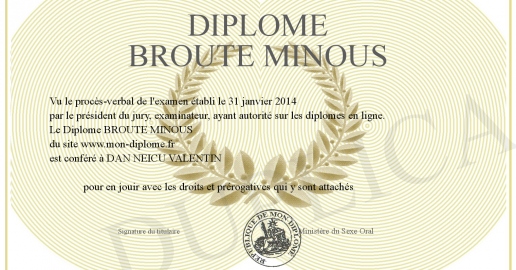 Diplome BROUTE MINOUS