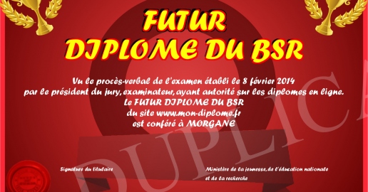 FUTUR DIPLOME DU BSR