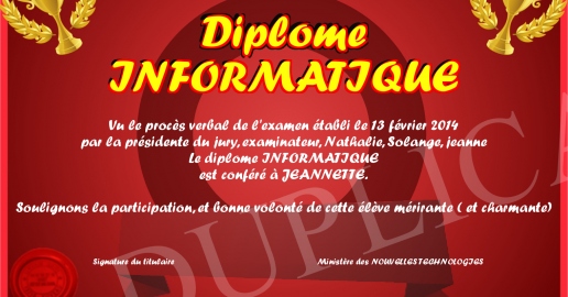 Diplome INFORMATIQUE