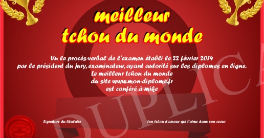 meilleur tchou du monde