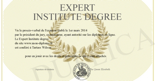 Expert Institute degree