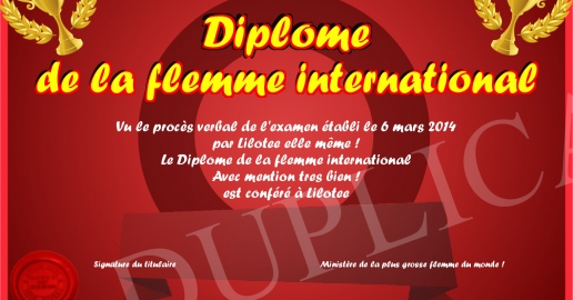 Diplome de la flemme international