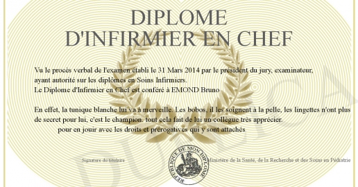 Diplome d Infirmier en Chef