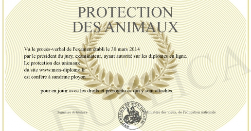 protection des animaux