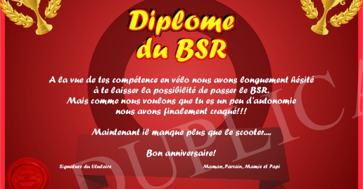 Diplome du BSR