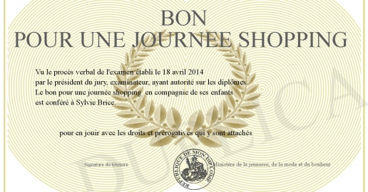 bon pour une journee shopping