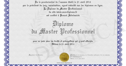Diplome du Master Professionnel