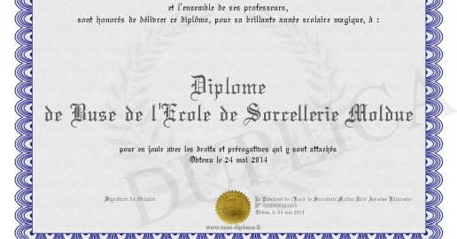 Diplome de Buse de l Ecole de Sorcellerie Moldue