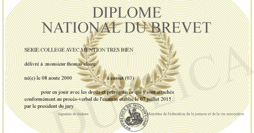 Diplome national du brevet