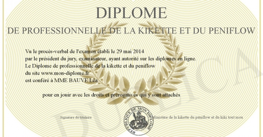 Diplome de professionnelle de la kikette et du peniflow