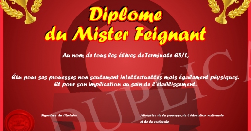 Diplome du Mister Feignant