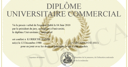 DIPLÔME UNIVERSITAIRE COMMERCIAL