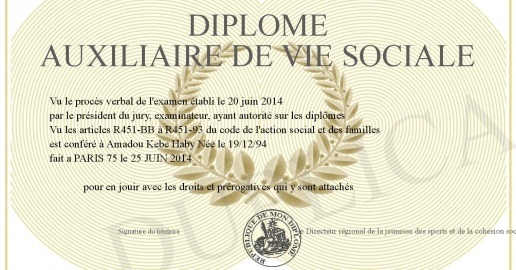 diplome Auxiliaire de Vie Sociale
