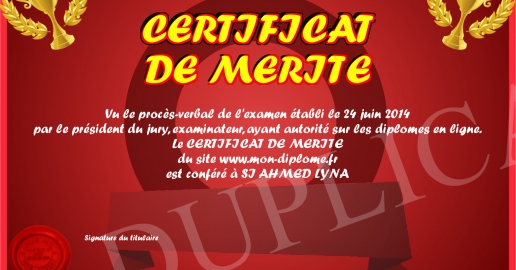 CERTIFICAT DE MERITE