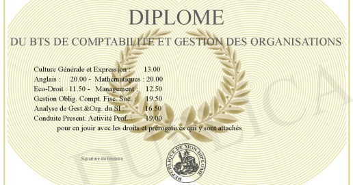 Diplome du BTS de Comptabilite et Gestion des Organisations