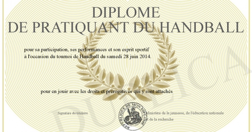 DIPLOME DE PRATIQUANT DU HANDBALL