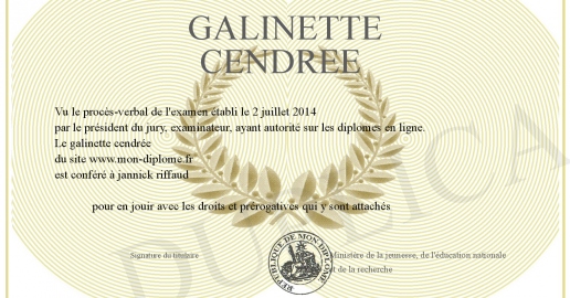 galinette cendree