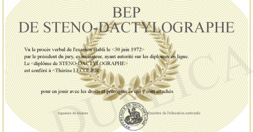 BEP de Steno-dactylographe