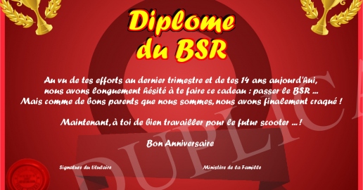 Diplome du BSR
