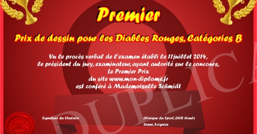 Premier Prix de dessin pour les Diables Rouges Categories B