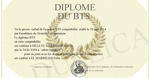 Diplome du BTS