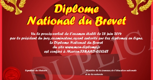 Diplome National du Brevet