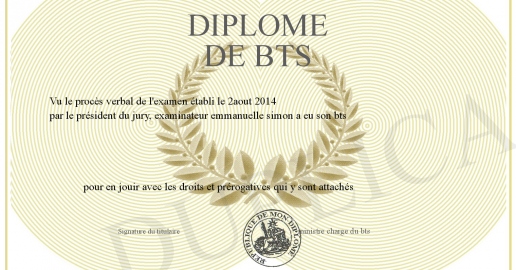 Diplome de BTS