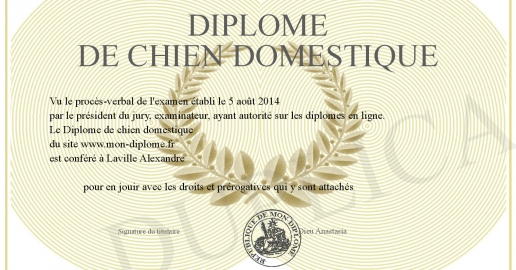 Diplome de chien domestique