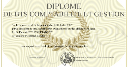 Diplome de BTS Comptabilite et Gestion
