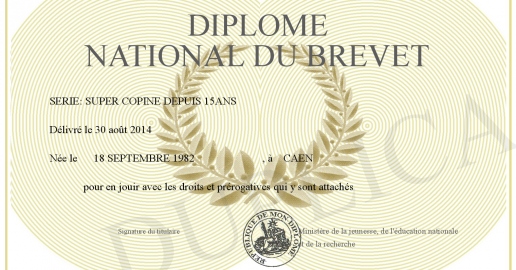 DIPLOME NATIONAL DU BREVET
