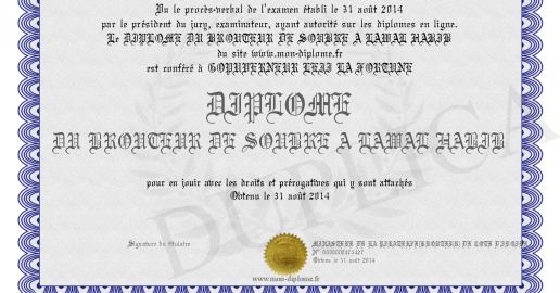 DIPLOME DU BROUTEUR DE SOUBRE A LAWAL HABIB