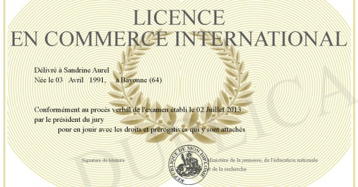 Licence en Commerce International