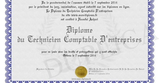Diplome du Technicien Comptable D entreprises