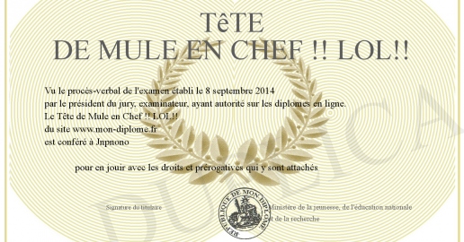 Tete de Mule en Chef !! LOL!!