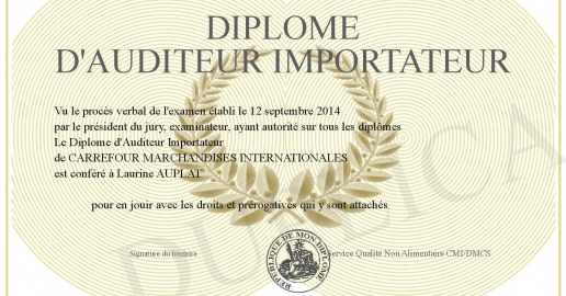 Diplome d Auditeur Importateur