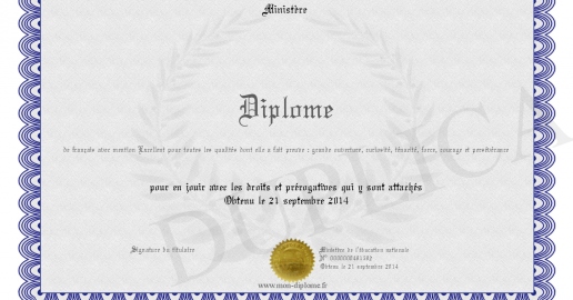 Diplome de francais avec mention Excellent pour toutes les qualites ...