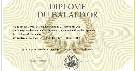 Diplome du balai d or