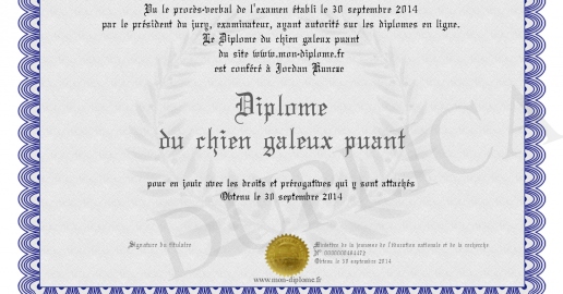 Diplome du chien galeux puant